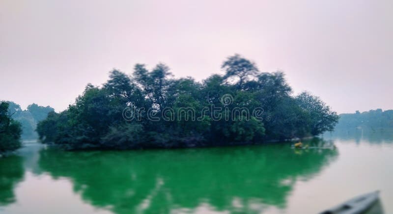 Mini Island with Mini Trees Stock Photo - Image of island, rock: 71648496