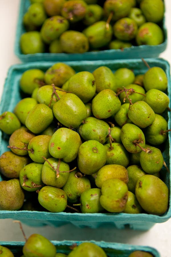 Mini Kiwi imagem de stock. Imagem de seco, nutritivo - 61373271