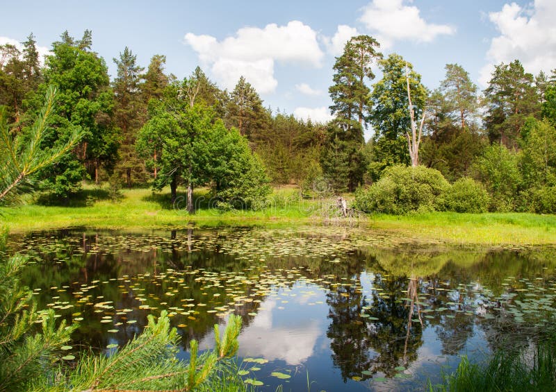 Lake in the forest stock photo. Image of forest, beach - 30253834
