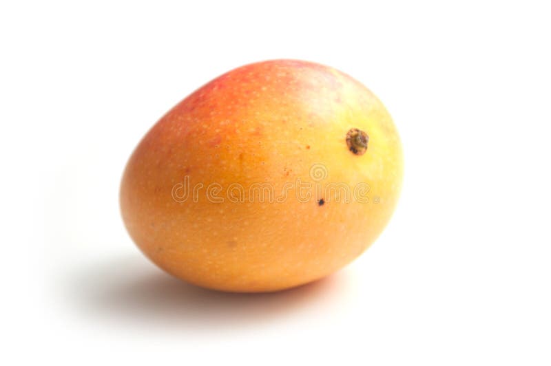Mini Mango on White Background Stock Image - Image of health, exotic ...