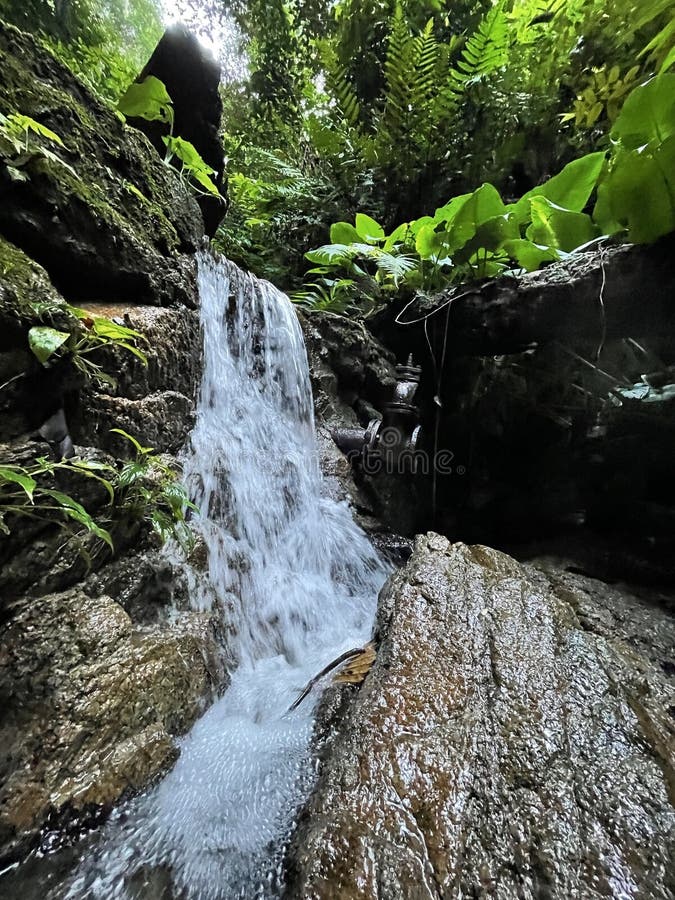 Mini stock image. Image of bukit, forest, batu, middle - 280651111