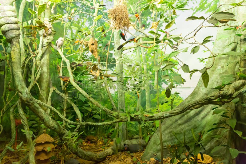 Mini Model of Green Forest. Stock Photo - Image of tree, miniature ...