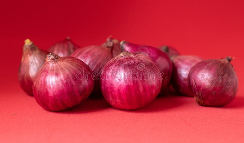 Mini Onions Isolated on White Stock Photo - Image of onions, flavoring ...