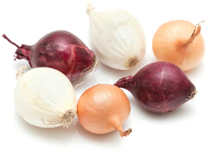 Mini Onions Isolated on White Stock Photo - Image of onions, flavoring ...