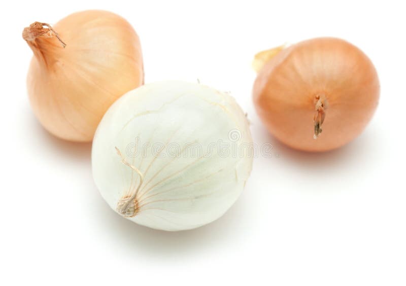 Mini Onions Isolated on White Stock Photo - Image of onions, flavoring ...