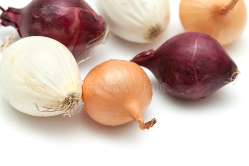 Mini Onions Isolated on White Stock Image - Image of delicious ...