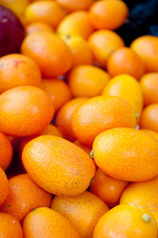 Mini-Oranges stock image. Image of food, orange, dinner - 10445305