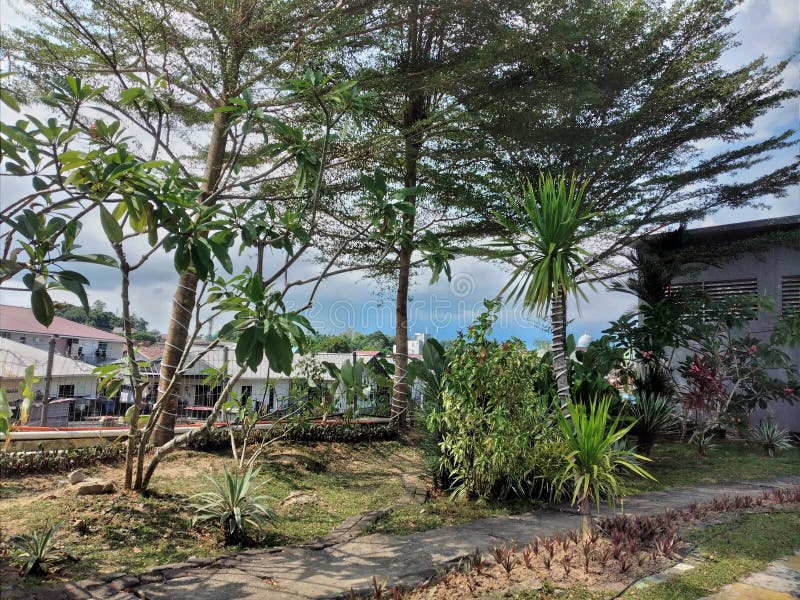 Mini park at the mall stock image. Image of forest, tropics - 375283347