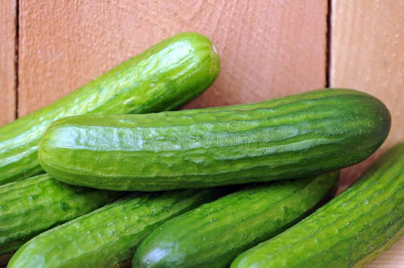 Mini pepino na mão foto de stock. Imagem de nave, pepino - 162011384