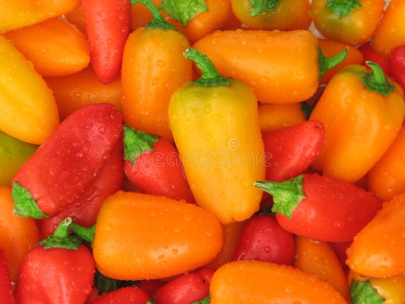 Mini Pimientos Dulces imagen de archivo. Imagen de amarillo - 1300315