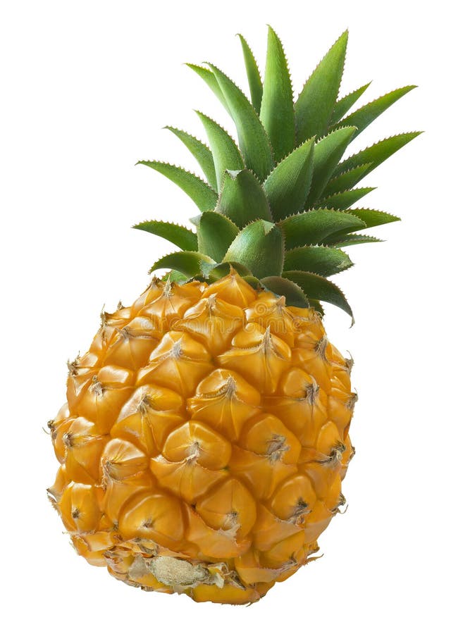 Mini Pineapple on Land and Leaves Spiky. Stock Image - Image of spiky ...