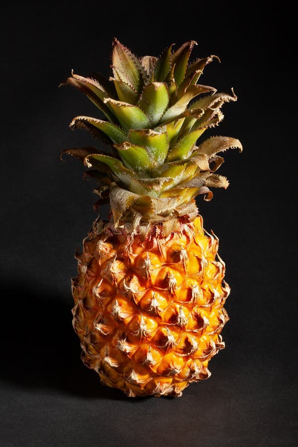 Mini pineapple on black stock photo. Image of antioxidant - 208061392
