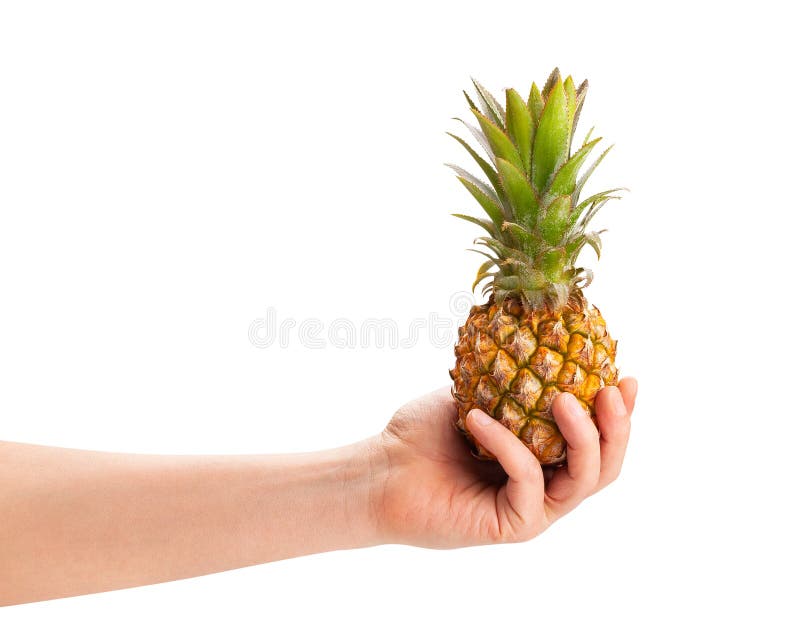Mini pineapple stock photo. Image of cocktail, vivid - 158040744