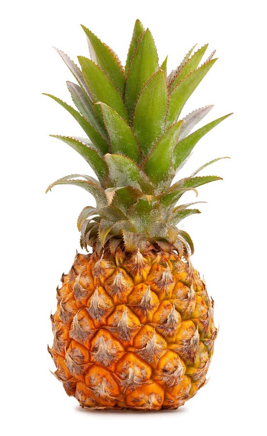 Mini pineapple stock photo. Image of closeup, stem, studio - 158040644