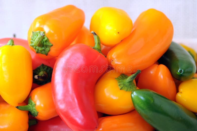 Mini poivron doux image stock. Image du doux, mini, orange - 29511497