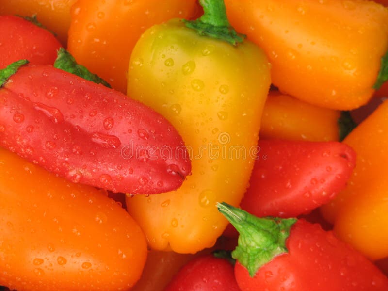 Mini poivrons doux photo stock. Image du foodstuffs, nourriture - 1300330