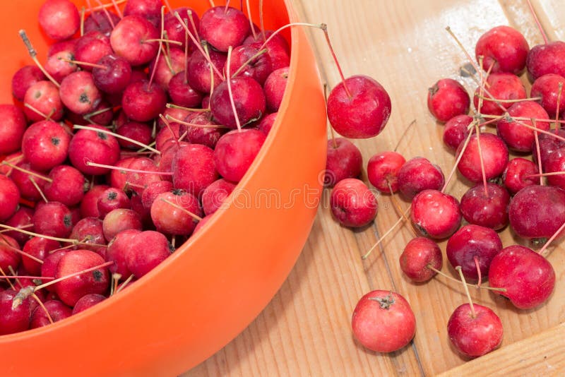 Mini Pommes Rouges Et X28 ; Apple& X29 De Crabe ; Photo stock - Image ...