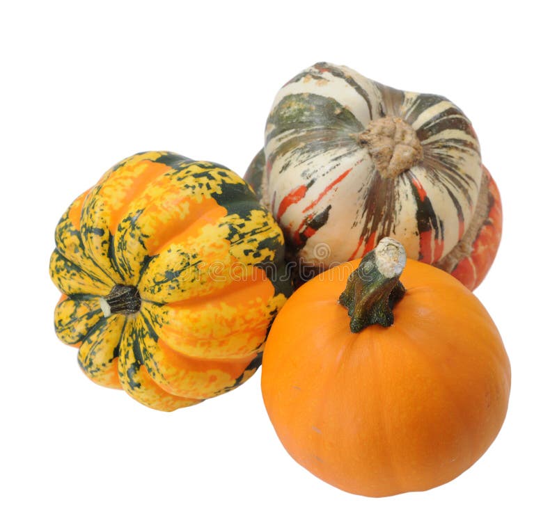 Mini pumpkin and squash stock image. Image of agriculture - 29511129