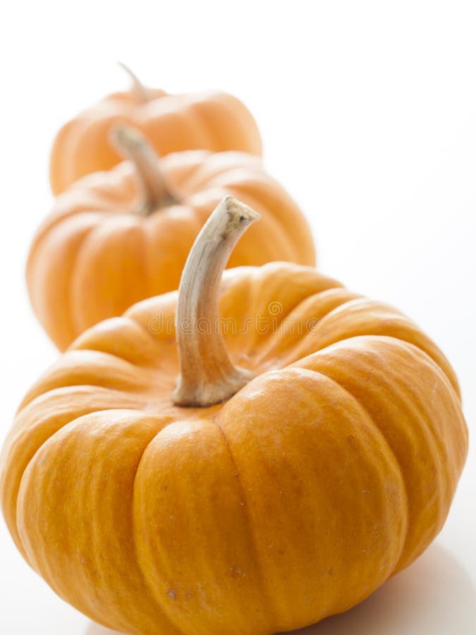 Mini Pumpkins stock photo. Image of nutrition, cucurbitaceae - 27062442