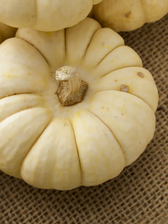 Mini Pumpkins stock image. Image of mini, healthy, fiber - 27062665