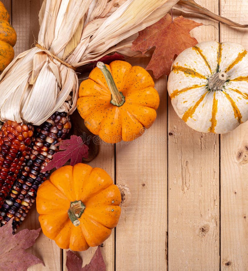 Pumpkins Indian Corn and Fall Leaves Stock Photo - Image of fall ...