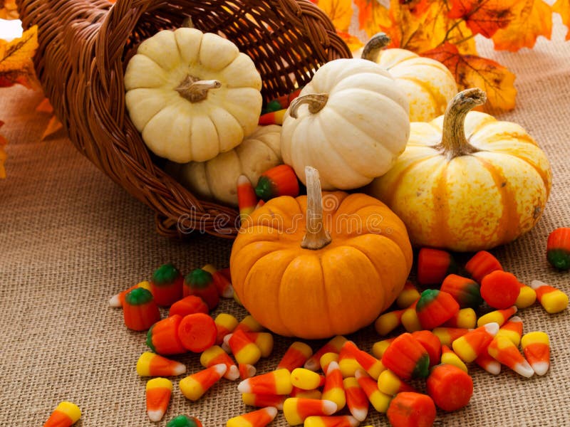 Mini Pumpkins stock image. Image of confection, brown - 258295427