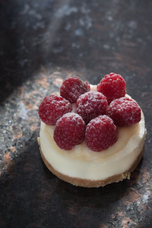 Mini raspberry cheesecake stock photo. Image of fruit - 55742246