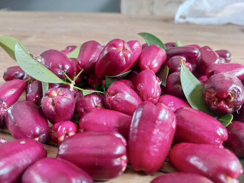 Mini Red Guava Tastes Sour but Refreshing Stock Image - Image of ...