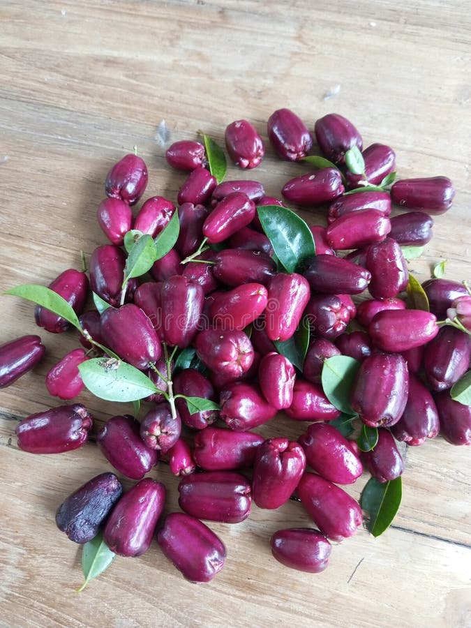 Mini Red Guava Tastes Sour but Refreshing Stock Image - Image of guava ...