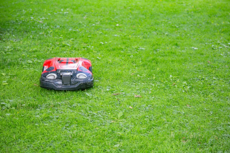 Mini Robot for Mowing the Lawn in the Yard Stock Photo - Image of ...