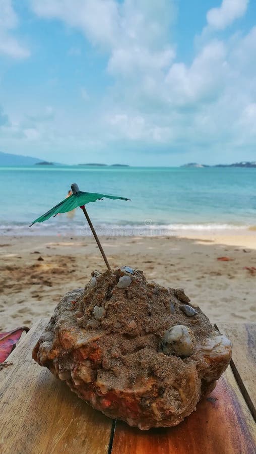 Mini rock garden stock photo. Image of meditation, garden - 51387888