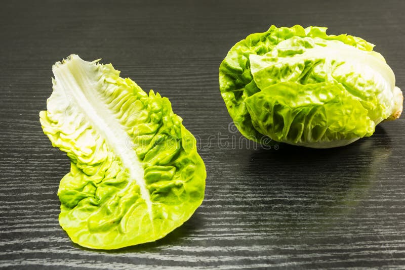 Mini Romaine lettuce. stock photo. Image of consuming - 106842908