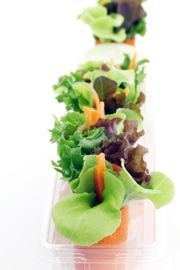 Mini salad stock photo. Image of roll, sauce, brown, package - 21514754