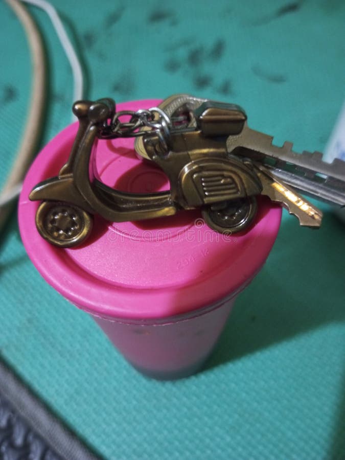 Scooterkey Stock Photos - Free & Royalty-Free Stock Photos from Dreamstime