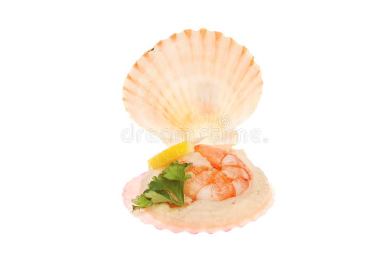 Mini Seafood Shell Appetizer Stock Photo - Image of food, taster: 85273700