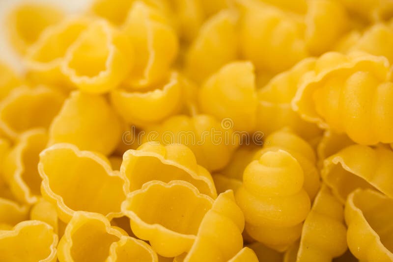 Mini Shell Pasta Close Up Stock Photos - Free & Royalty-Free Stock ...