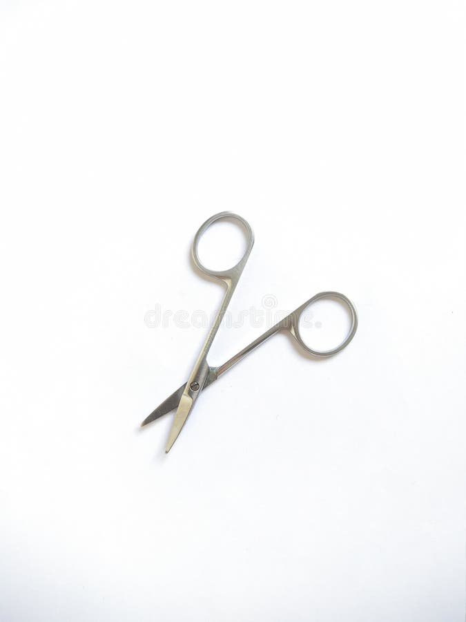 Mini Silver Stainless Kitchen Scissor Stock Image - Image of kitchen ...