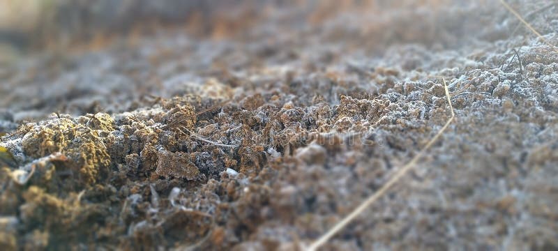 Mini Snowflakes in Ground after Snowfall Stock Image - Image of snow ...