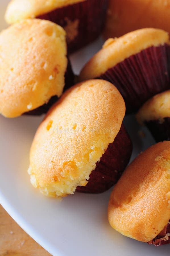 Mini Sponge cake stock photo. Image of paper, cake, closeup - 28741078