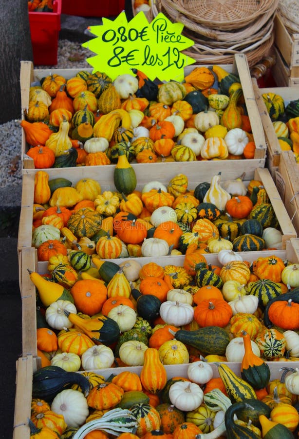 Mini squash stock photo. Image of squash, france, stall - 60793328