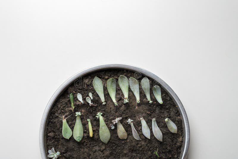 Spread ready! stock image. Image of meal, kettle, people - 15591691