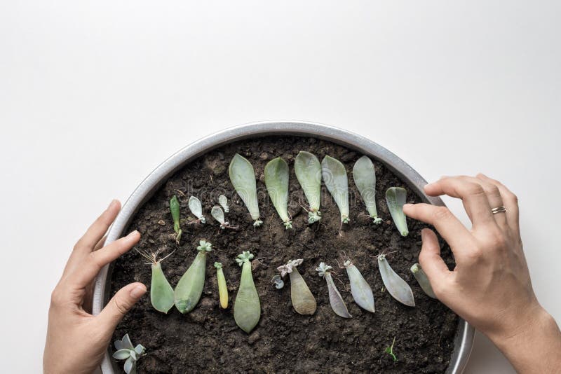 Spread ready! stock image. Image of meal, kettle, people - 15591691