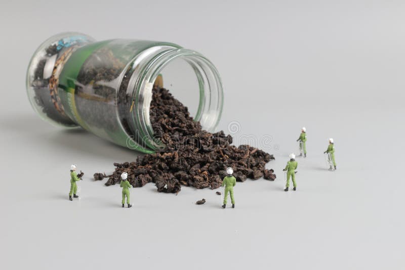 Mini Swat Team with Thrown of Tea Stock Photo - Image of miniature ...