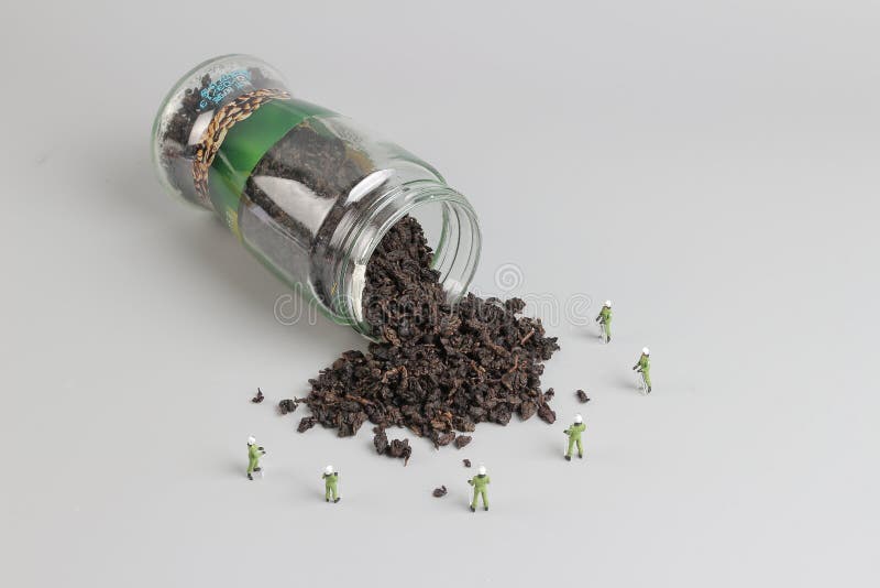 Mini Swat Team with Thrown of Tea Stock Photo - Image of tiny ...