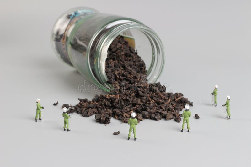 Mini Swat Team with Thrown of Tea Stock Photo - Image of miniature ...