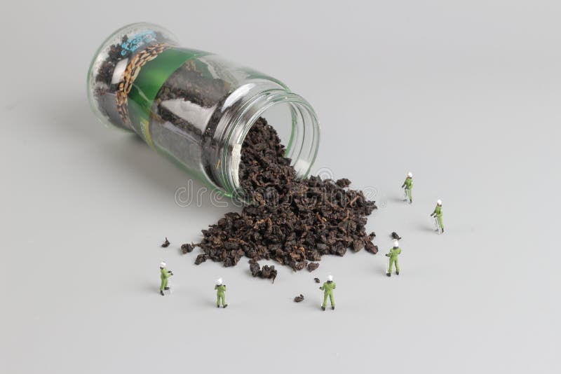 Mini Swat Team with Thrown of Tea Stock Image - Image of miniature ...