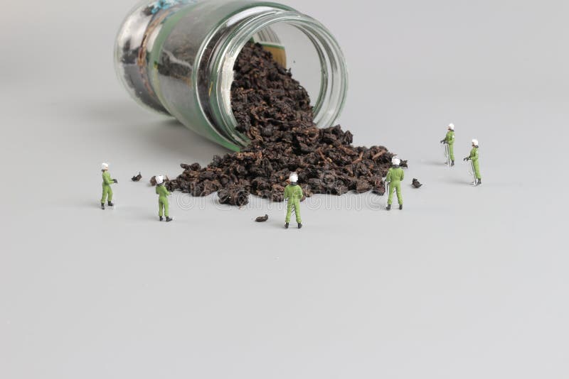 Mini Swat Team with Thrown of Tea Stock Photo - Image of figurine ...
