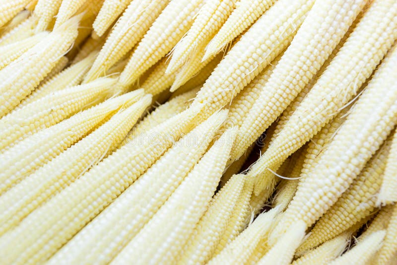 Mini sweetcorn in basket stock image. Image of field - 72034829