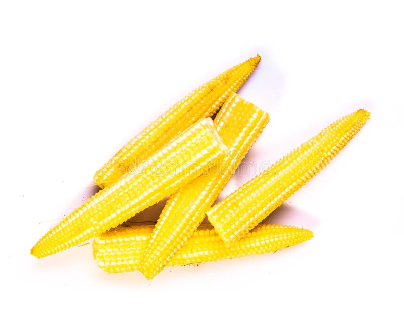Mini Sweetcorn Isolated on White Stock Photo - Image of organic, bean ...