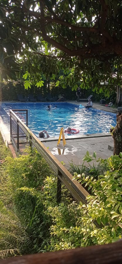 Mini swimming pool stock photo. Image of park, tree - 373850314